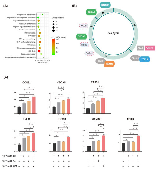 IJMS | Free Full-Text | Identification of Candidate Genes in Breast ...