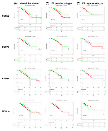IJMS | Free Full-Text | Identification of Candidate Genes in Breast ...