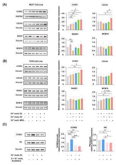 IJMS | Free Full-Text | Identification of Candidate Genes in Breast ...