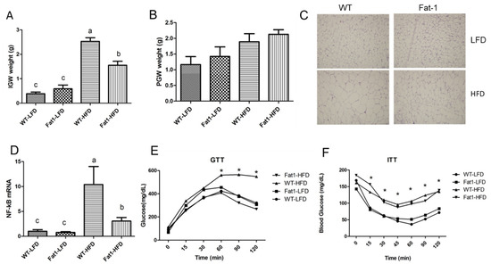 Omega-3 Polyunsaturated Fatty Acids Protect against High-Fat Diet ...