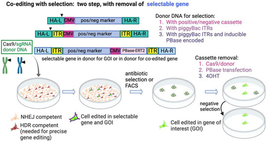 Selecting for CRISPR-Edited Knock-In Cells