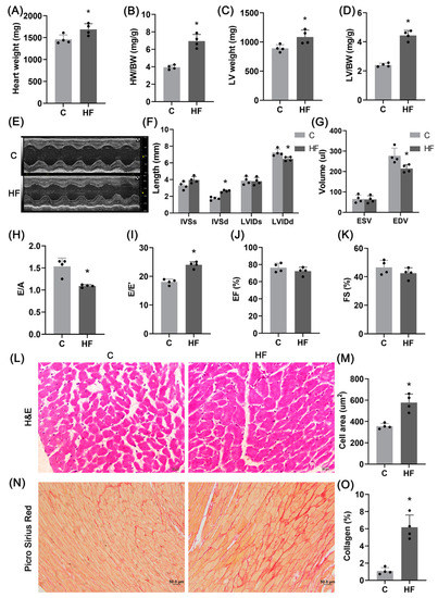 Drp 1 For Adeno Associated Virus