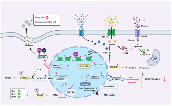 Lactate-Lactylation Hands between Metabolic Reprogramming and ...