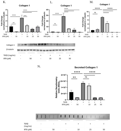 The Novel Small Molecule BTB Inhibits Pro-Fibrotic Fibroblast Behavior ...
