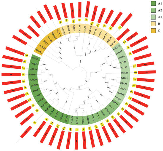 Genome-Wide Identification, Characterization, and Expression Analysis ...