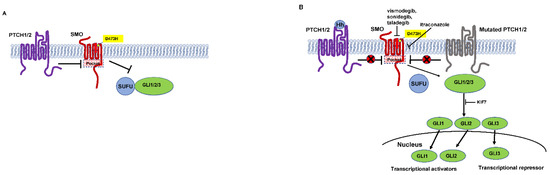 Molecular Mechanisms and Targeted Therapies of Advanced Basal Cell ...