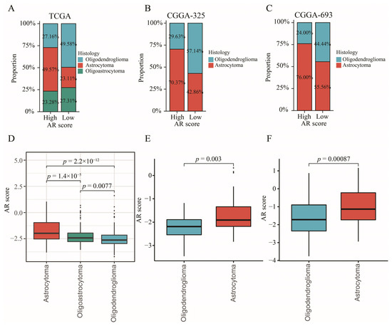 Development of a Hallmark Pathway-Related Gene Signature Associated ...