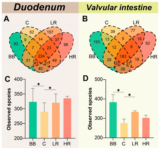 Resveratrol Improves the Digestive Ability and the Intestinal Health of ...