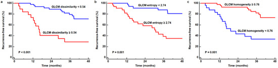 Predicting the Recurrence of Gastric Cancer Using the Textural Features ...