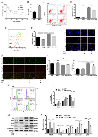 IDO1 Modulates the Sensitivity of Epithelial Ovarian Cancer Cells to ...