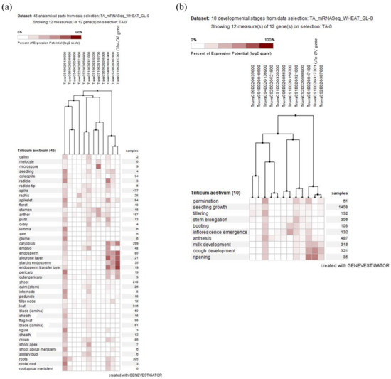 IJMS | Free Full-Text | Identification of Glu-D1 Alleles and Novel Marker–Trait Associations for ...