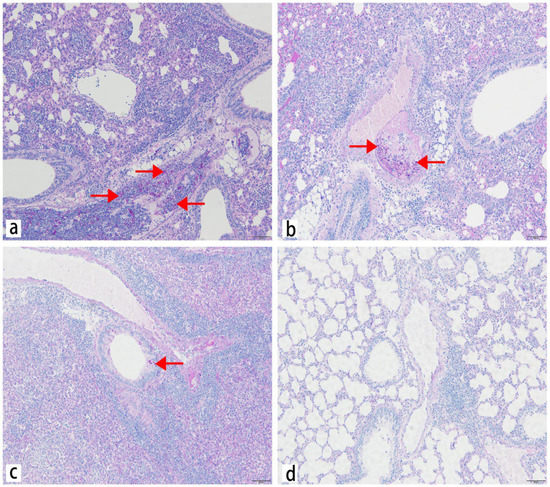Microsporum gypseum Isolated from Ailuropoda melanoleuca Provokes ...