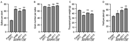HFR1, a bHLH Transcriptional Regulator from Arabidopsis thaliana ...