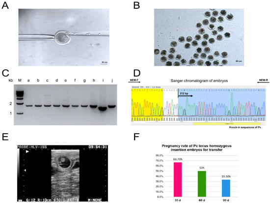 Uncovering Novel Features of the Pc Locus in Horn Development from Gene ...