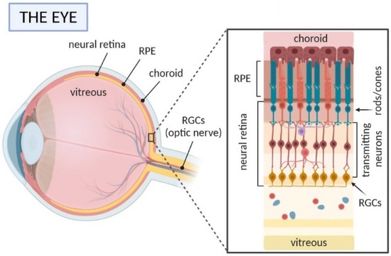 IJMS | Free Full-Text | Lipid-Based Nanoparticulate Systems for the ...