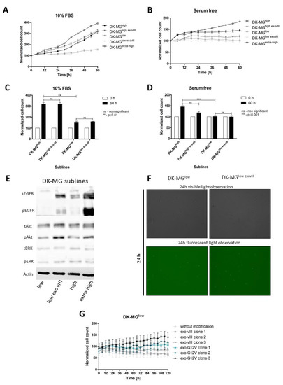 IJMS | Free Full-Text | Phenotypical Flexibility of the EGFRvIII ...