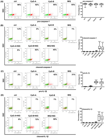 Interactions between the NLRP3-Dependent IL-1β and the Type I ...
