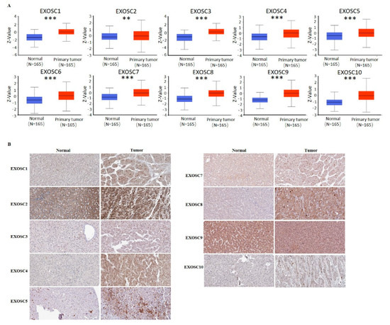 IJMS | Free Full-Text | Integrated Bioinformatic Investigation of ...