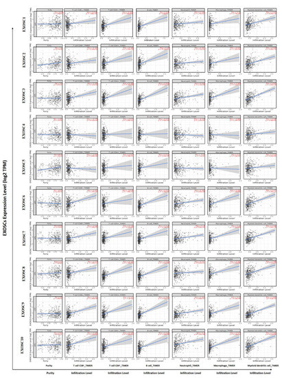 IJMS | Free Full-Text | Integrated Bioinformatic Investigation of ...