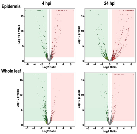 Proteomic Profiling of Plant and Pathogen Interaction on the Leaf Epidermis