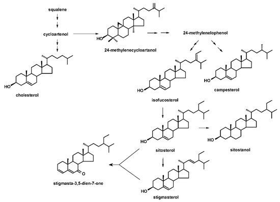The Influence of Exogenous Jasmonic Acid on the Biosynthesis of ...