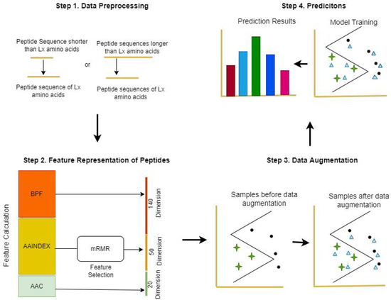 ACP-ADA: A Boosting Method with Data Augmentation for Improved Prediction of Anticancer Peptides