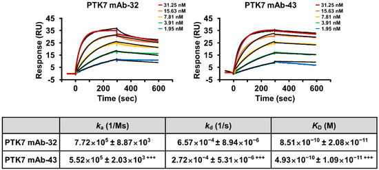 Anti-PTK7 Monoclonal Antibodies Exhibit Anti-Tumor Activity at the ...