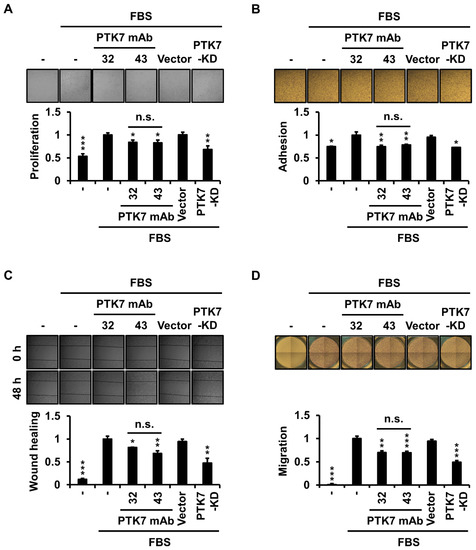 Anti-PTK7 Monoclonal Antibodies Exhibit Anti-Tumor Activity at the ...
