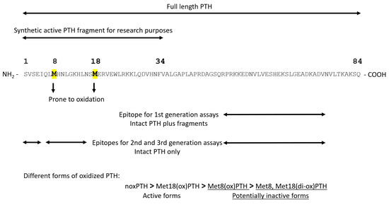Biological Activity of Different Forms of Oxidized Parathyroid Hormone