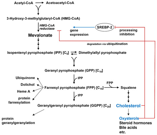 The Impacts of Cholesterol, Oxysterols, and Cholesterol Lowering ...