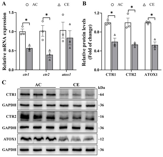 Transcriptional Responses of Copper-Transport-Related Genes ctr1, ctr2 ...
