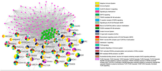 IJMS | Free Full-Text | miRNA Expression May Have Implications for ...