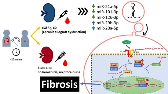 IJMS | Free Full-Text | Association between Circulating MicroRNAs (miR-21-5p, miR-20a-5p, miR ...
