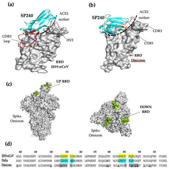 Neutralizing Ability of a Single Domain VNAR Antibody: In Vitro ...