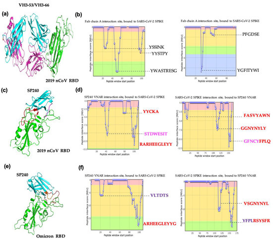 Neutralizing Ability of a Single Domain VNAR Antibody: In Vitro ...