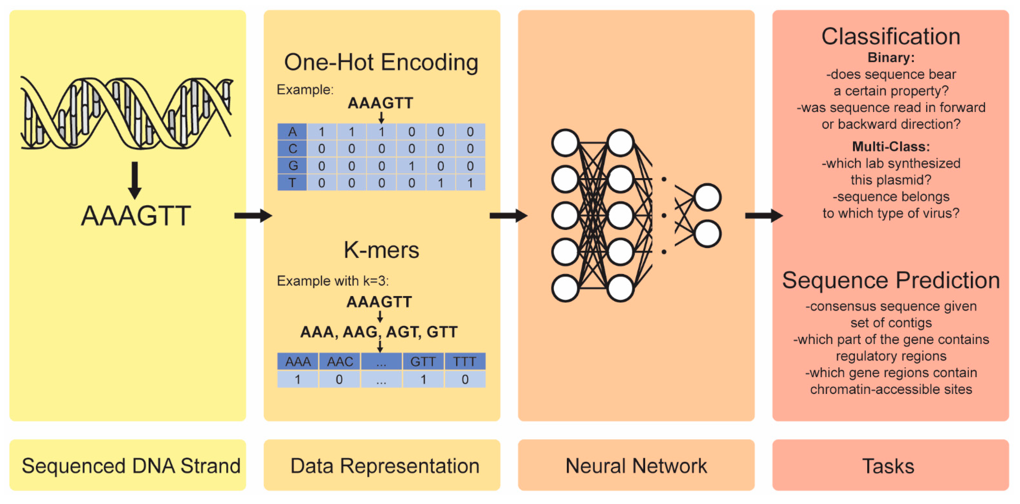 IJMS | Free Full-Text | Omics Data and Data Representations for Deep Learning-Based Predictive ...