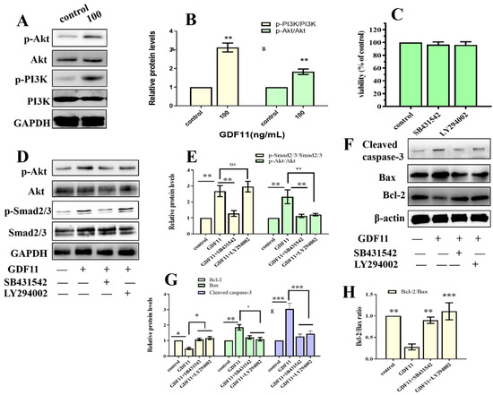 GDF11 Regulates PC12 Neural Stem Cells via ALK5-Dependent PI3K-Akt ...