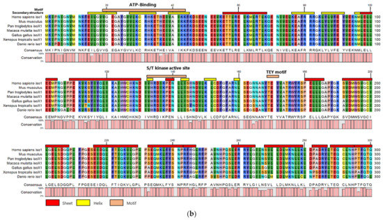 Comprehensive In Silico Functional Prediction Analysis of CDKL5 by ...