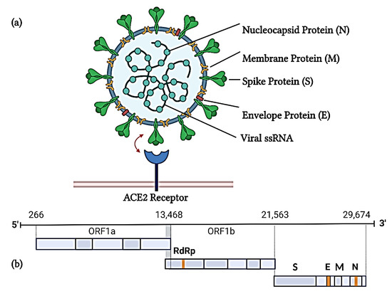 A Review: Highlighting the Links between Epigenetics, COVID-19 ...