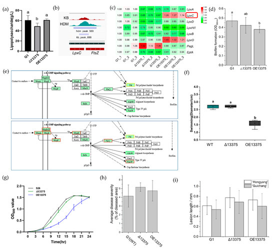 The OmpR-like Transcription Factor as a Negative Regulator of hrpR/S in ...