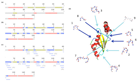 A Perspective on the (Rise and Fall of) Protein β-Turns