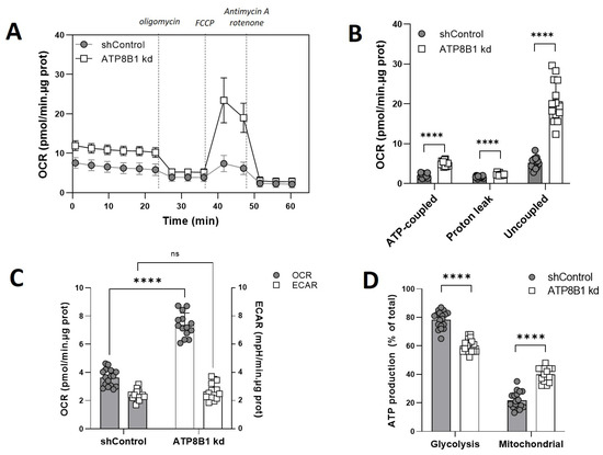 ATP8B1 Deficiency Results in Elevated Mitochondrial Phosphatidylethanolamine Levels and ...