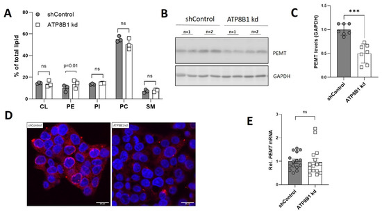 ATP8B1 Deficiency Results in Elevated Mitochondrial Phosphatidylethanolamine Levels and ...