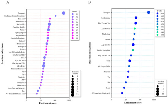 Reconstructed Genome-Scale Metabolic Model Characterizes Adaptive ...
