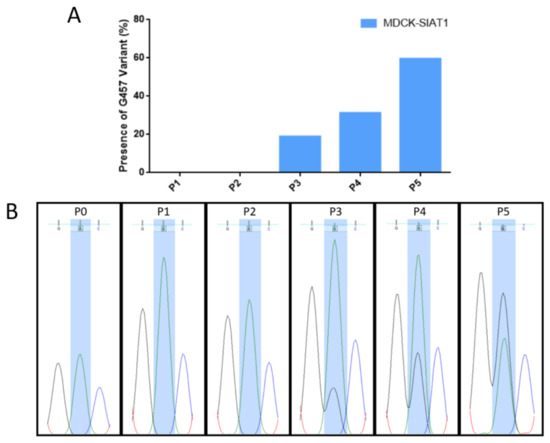 IJMS | Free Full-Text | Serial Passaging of Seasonal H3N2 Influenza A ...