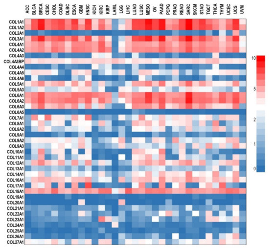 IJMS | Free Full-Text | Collagen Family as Promising Biomarkers and ...