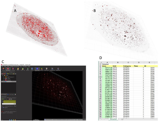 IJMS | Free Full-Text | Automatic Evaluation for Bioengineering of ...