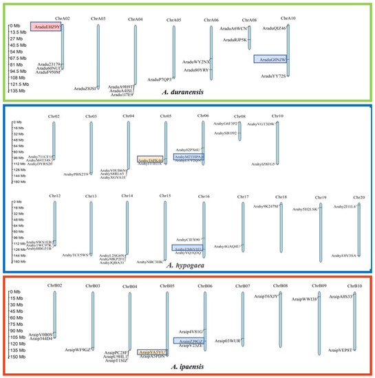 Comparative Genomic and Expression Analysis Insight into Evolutionary ...