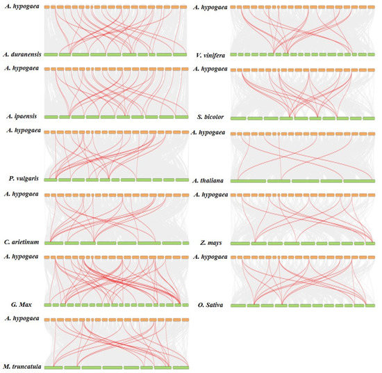 Comparative Genomic and Expression Analysis Insight into Evolutionary ...