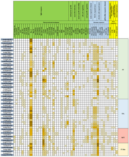 Comparative Genomic and Expression Analysis Insight into Evolutionary ...